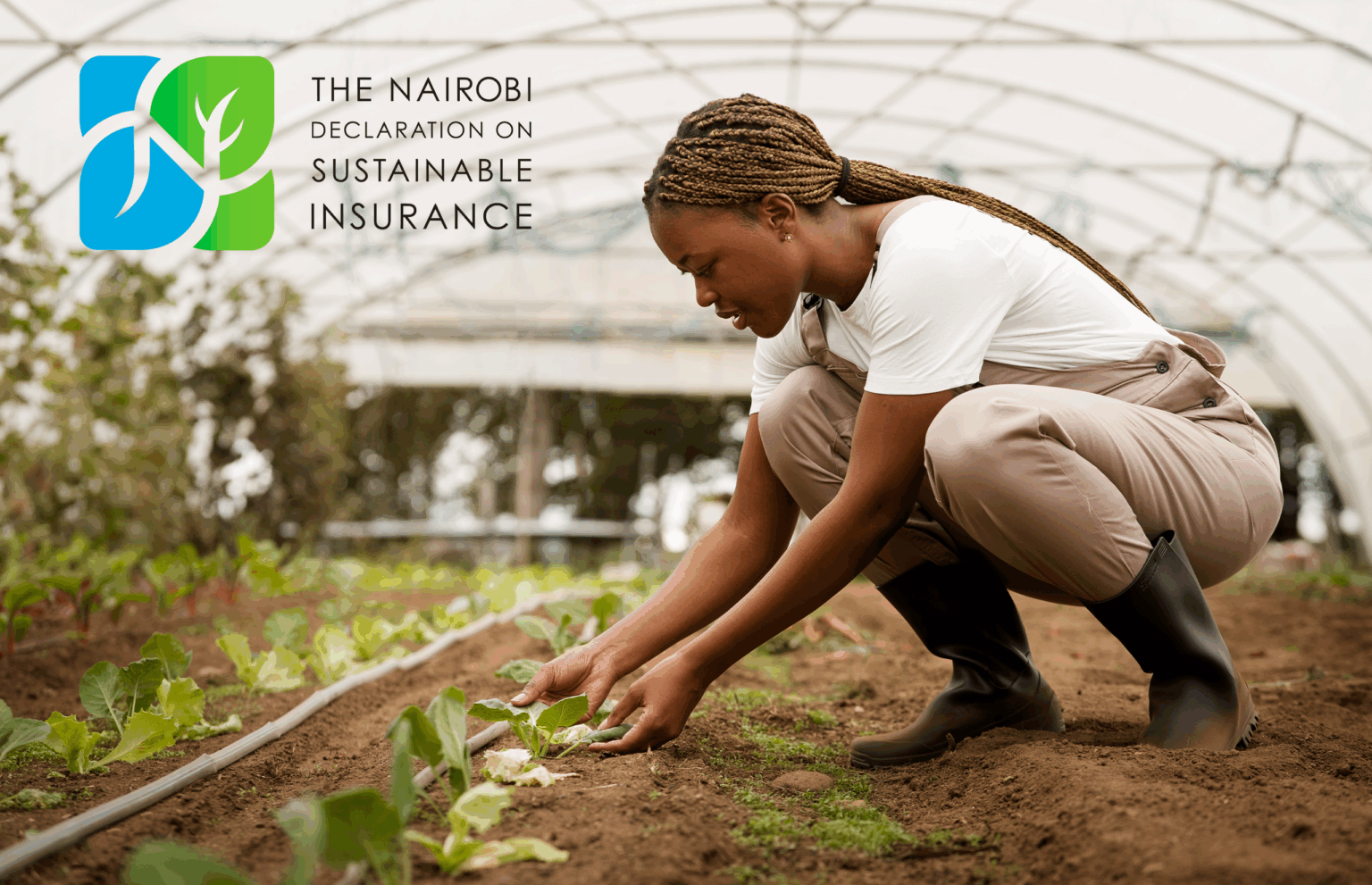 COMESA Yellow Card - Insurance Council of Zimbabwe